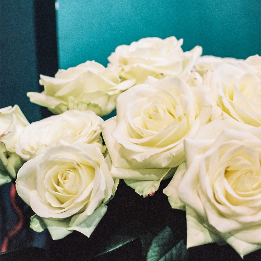 Tout savoir sur le prix des roses | Sessile