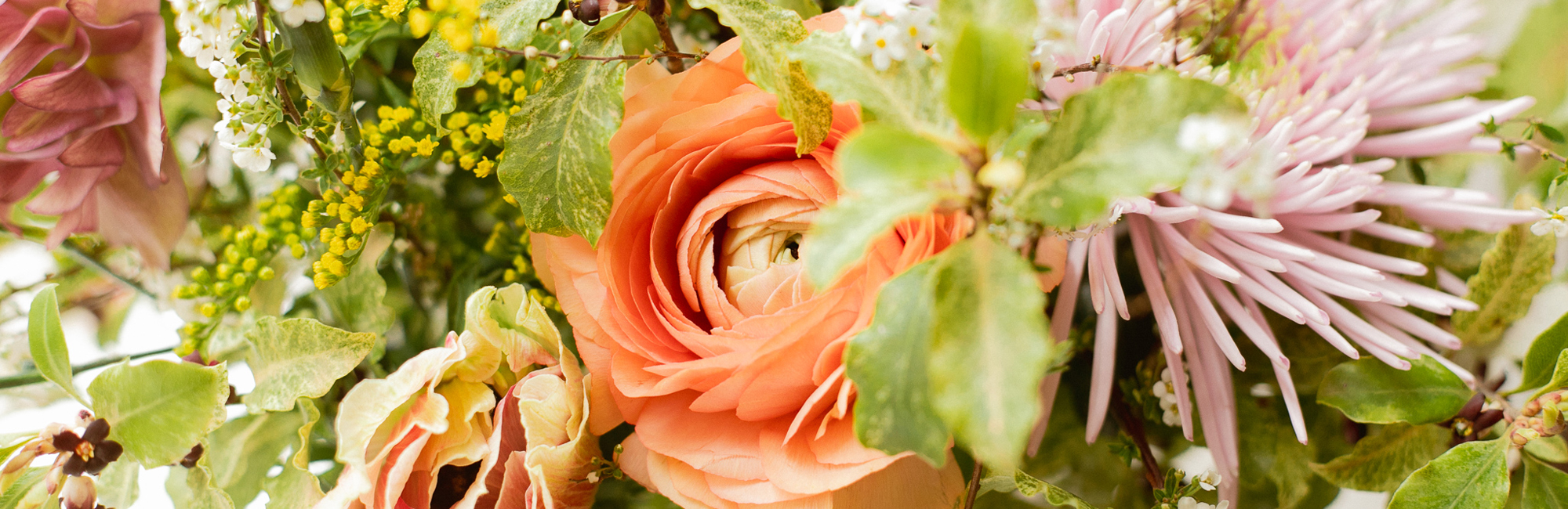 Sessile | Livraison de fleurs | Bouquets d'artisans fleuristes