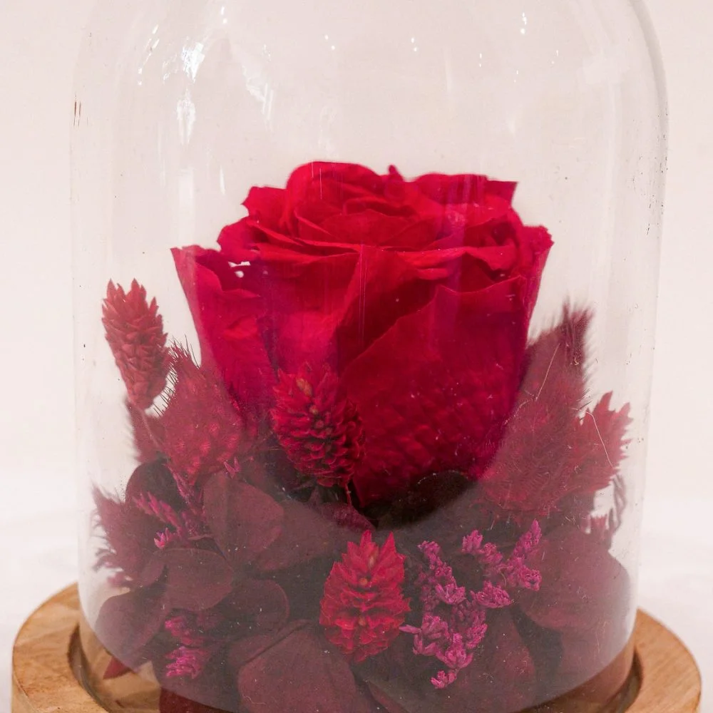 cloche sous verre en fleurs séchées et stabilisées | Livraison à Paris ...